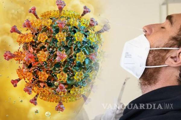 ¿Cómo saber si tengo gripe H3N2 tipo K?... esta es la prueba para ...