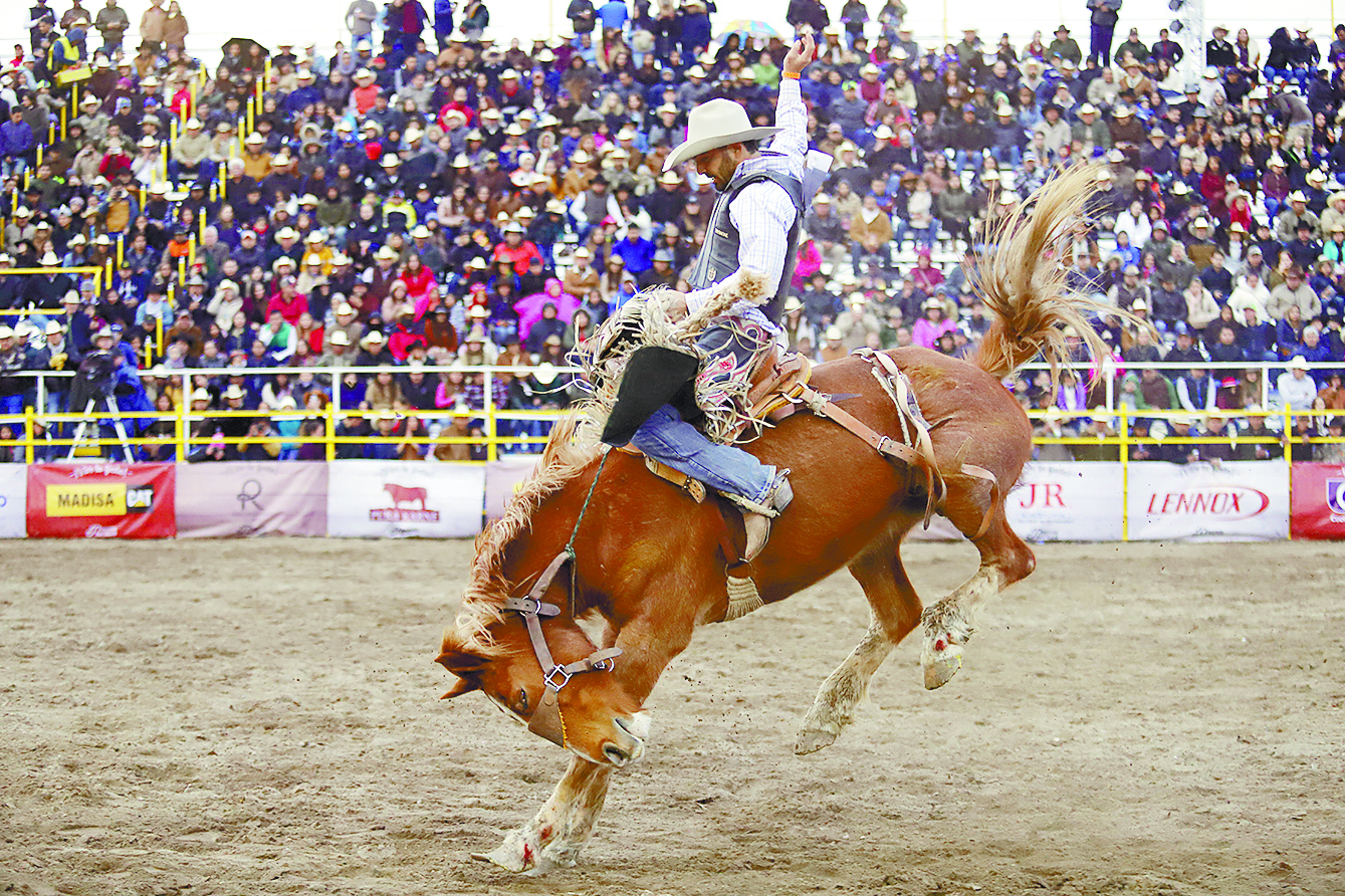 En duda de celebrarse en Saltillo el Festival de Rodeo