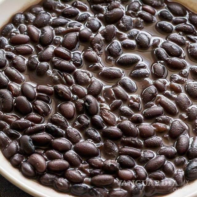 Frijol Negro: El Tesoro de Mesoamérica