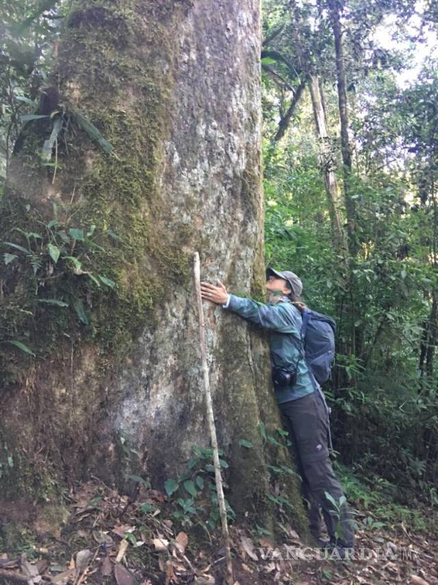 Tu actitud determina tu altitud: Karla Wheelock 25 años de haber ...