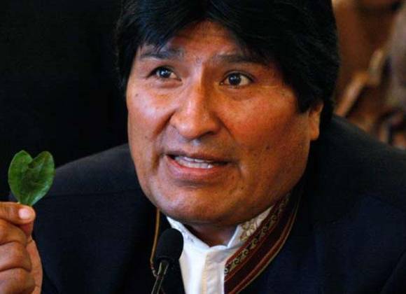 Masticar coca evita problemas dentales: Morales