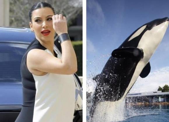 Kim Kardashian le saca dinero a las críticas