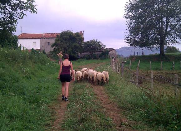 "Wwoofers", la tribu verde