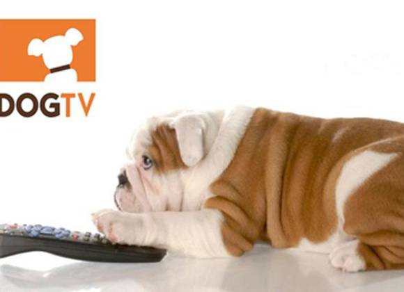 Llega a Alemania la televisión para perros