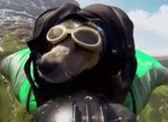 Paracaidista se lanza con su perro a casi 4 mil metros de altura