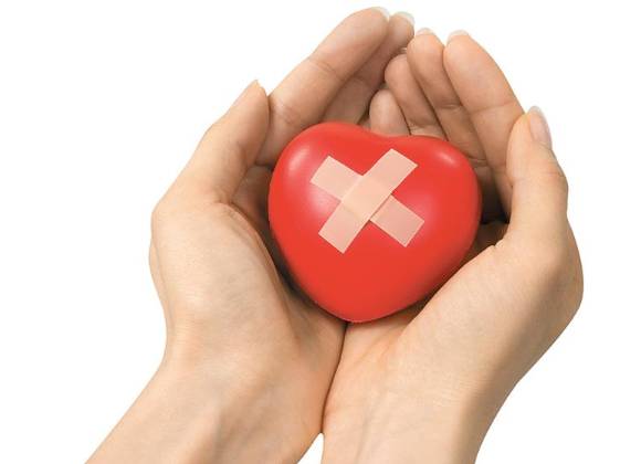 Descubren cómo acelerar la regeneración de células del corazón