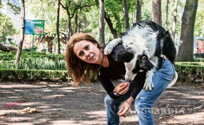 Los perros también van al psicólogo