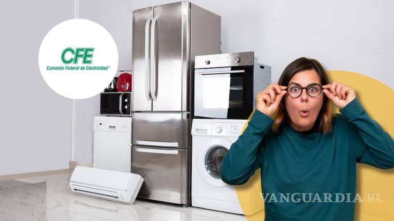 CFE y Programa ASI: Estos son los requisitos para renovar ...