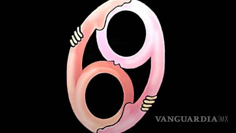 El número más erótico que existe: la historia del 69