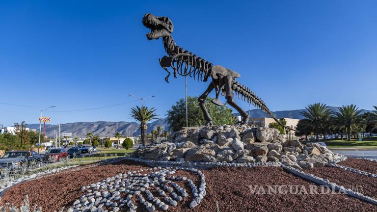 Saltillo, ¿tierra de osos o de dinosaurios?