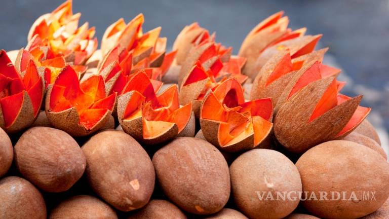 ¿Qué es el mamey? Usos, propiedades y beneficios para la salud