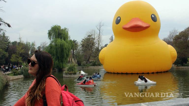 'Patito de hule' gigante sorprende en lago chileno