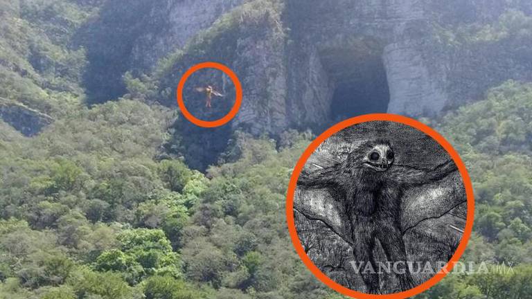 ¿Qué es el hombre pájaro?... la misteriosa criatura que presagia ...