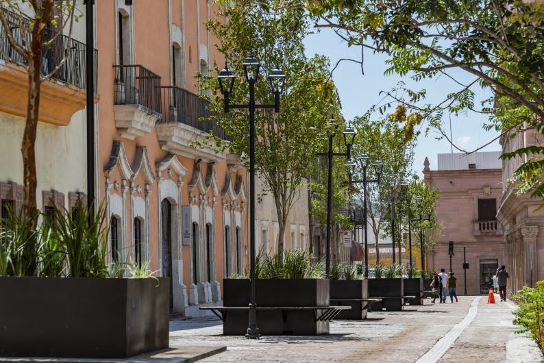 ¿Por qué los árboles de Paseo Capital de Saltillo están en macetas?
