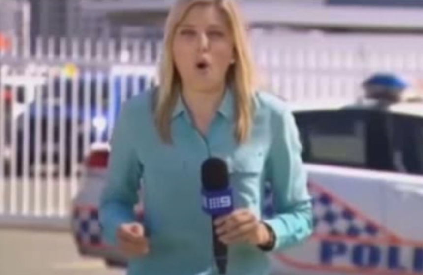 Reportera es mordida por hormiga toro ¡en vivo!