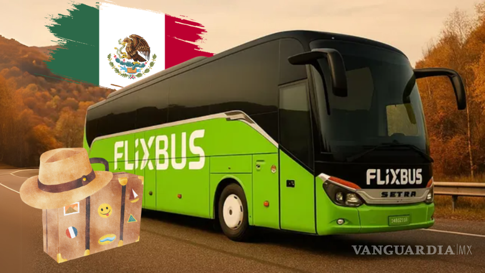 ¿Qué es el FlixBus? La red de autobuses económica y moderna al estilo ...