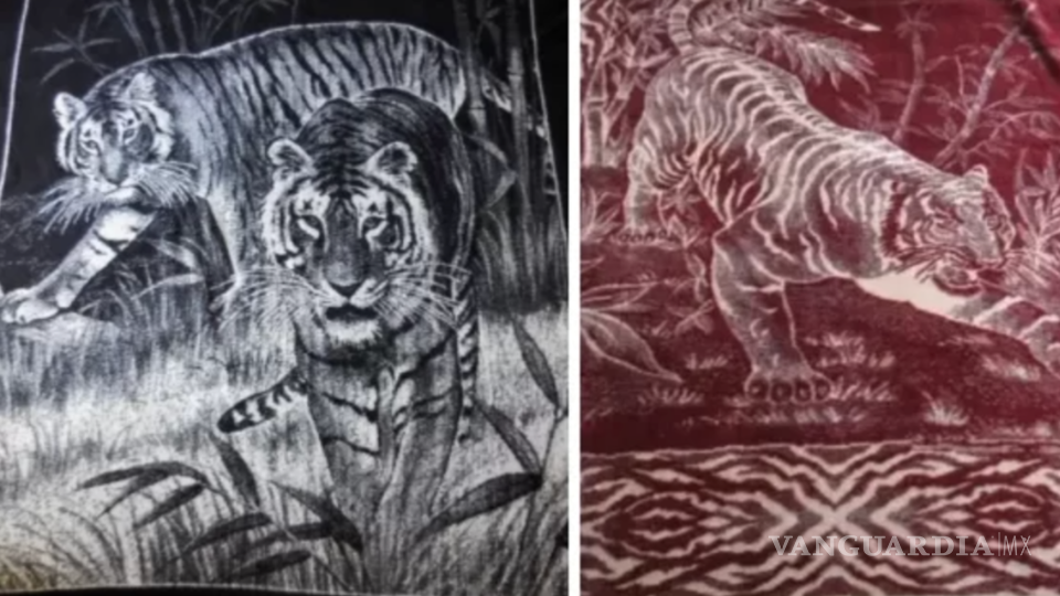 “Cobijas de Tigre”: La historia detrás del símbolo del invierno mexicano