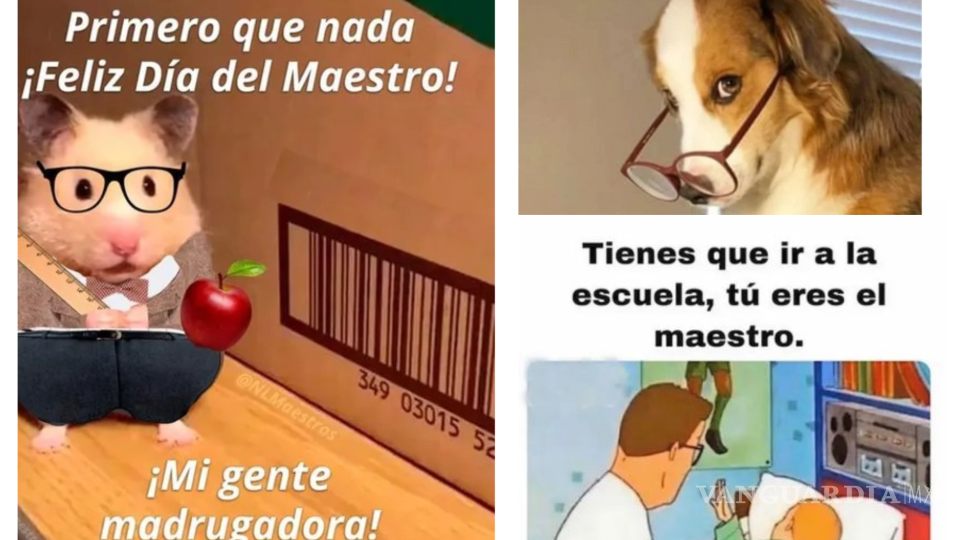 Estos son los mejores MEMES del Día del Maestro para compartir en redes ...