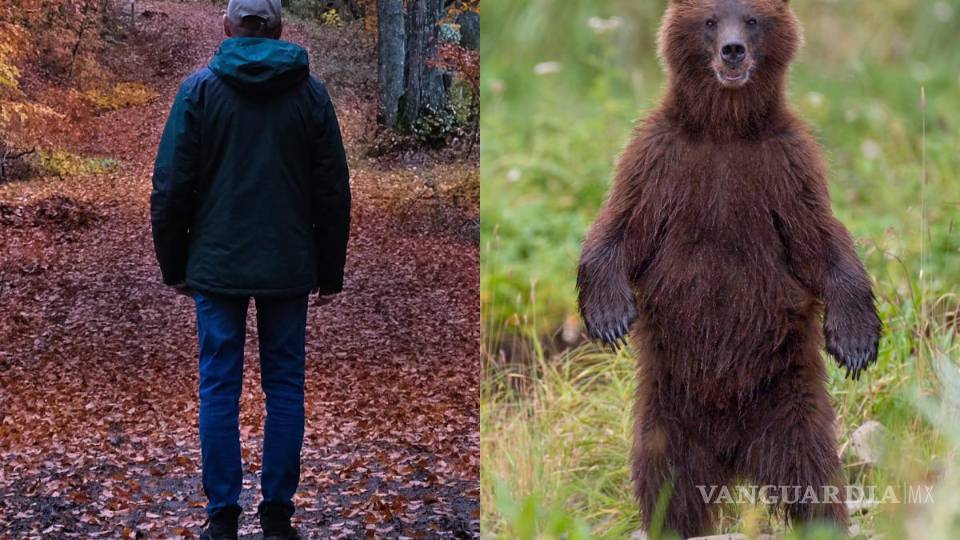 Un oso o un hombre, ¿quién es más peligroso?, esta pregunta ha causado ...