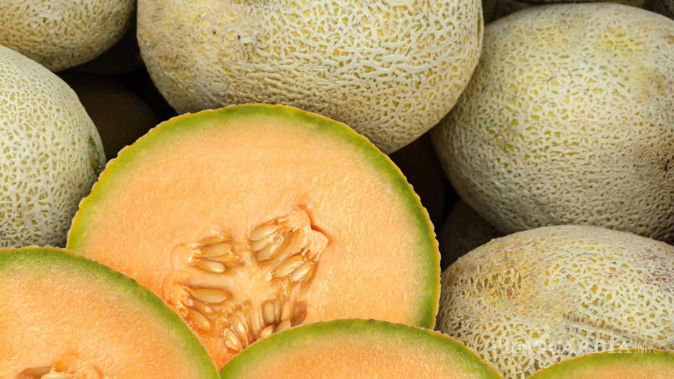 Alerta sanitaria en EU y Canadá por melones mexicanos: 359 personas ...