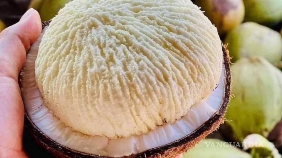 ¿Qué es y dónde se consigue la manzana de coco?, la popular fruta de TikTok