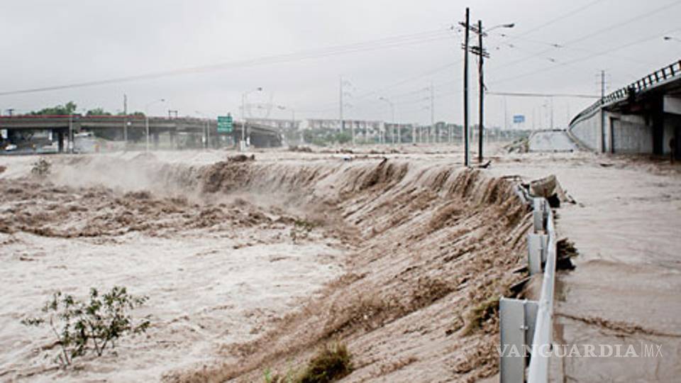 Huracán Alex no sólo dejó destrucción; reveló un tesoro de especies ...