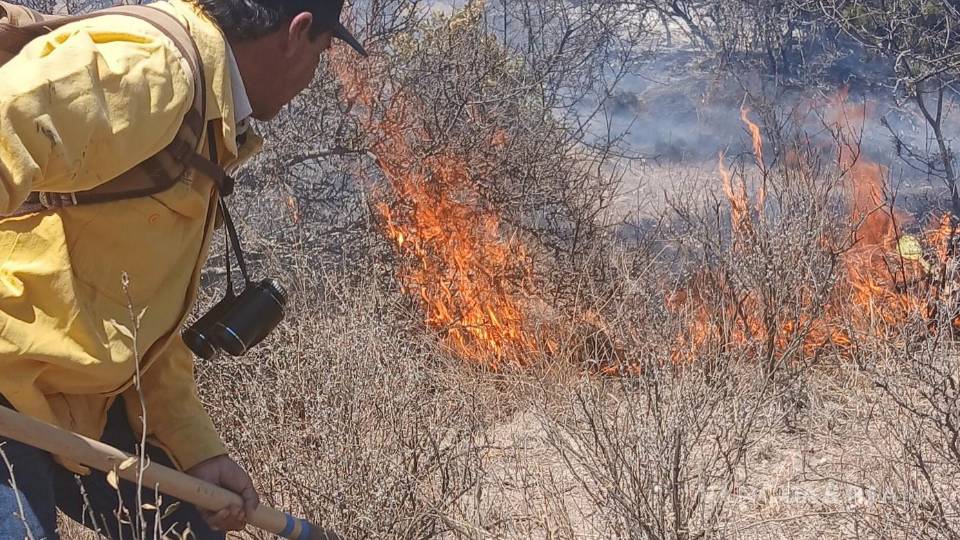Brigadistas que combaten incendio en Rancho Experimental ‘Los Ángeles ...